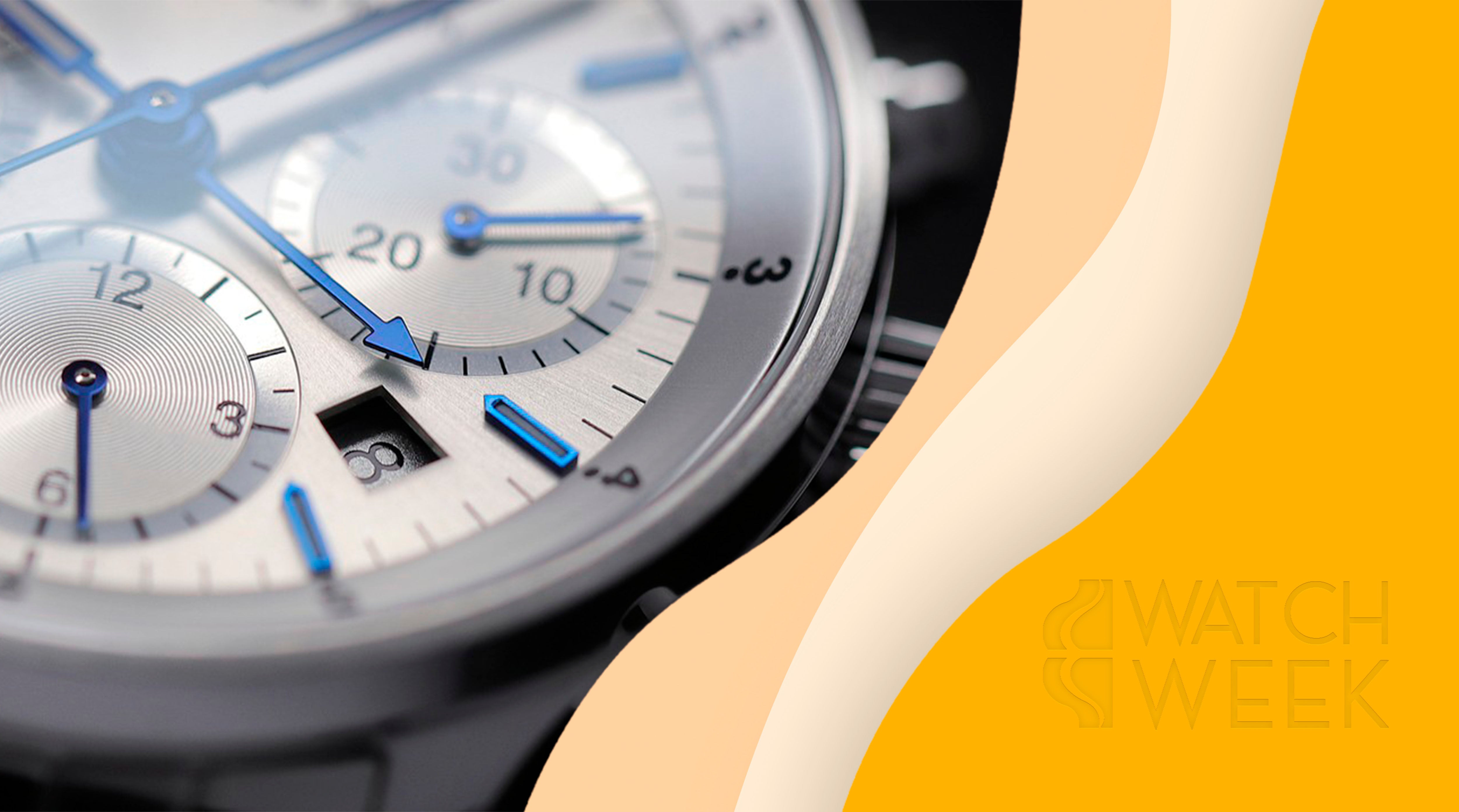 ¿Cómo elegir el tamaño de su reloj? - Iguana Sell ES