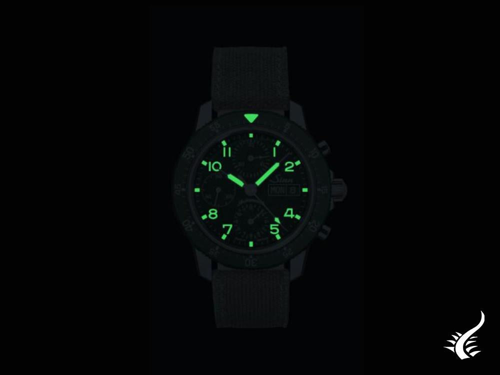 Reloj Automático Sinn 103 Sa G, 41 mm, 20 atm, Verde, Ed. Limitada, 10 - Iguana Sell ES